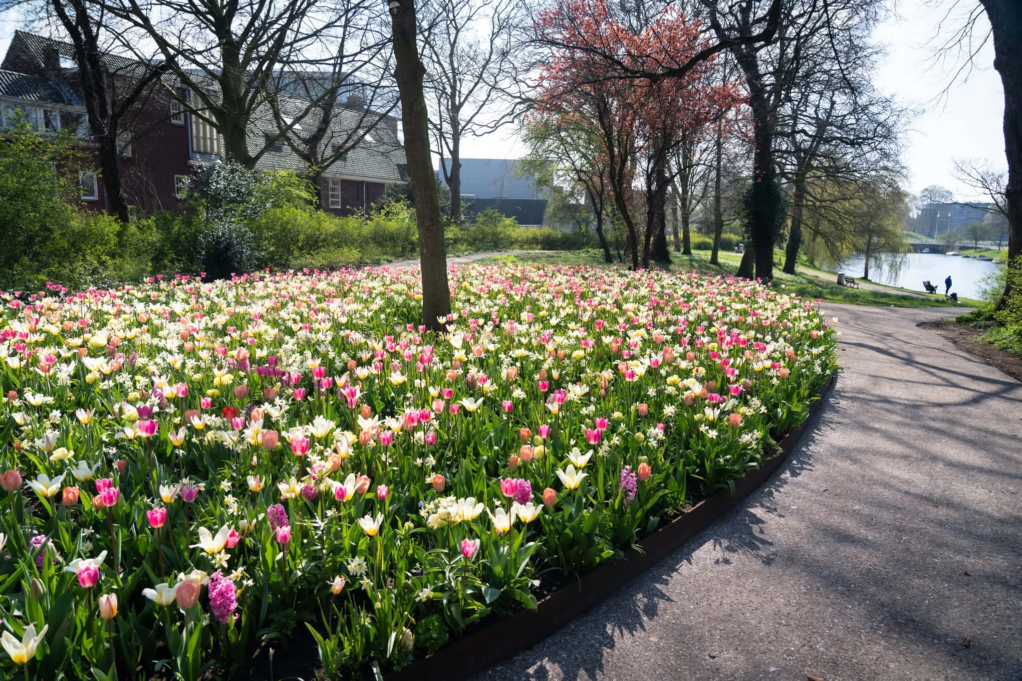 Parkenscan uitgevoerd om de kwaliteit van twintig Alkmaarse parken te ...